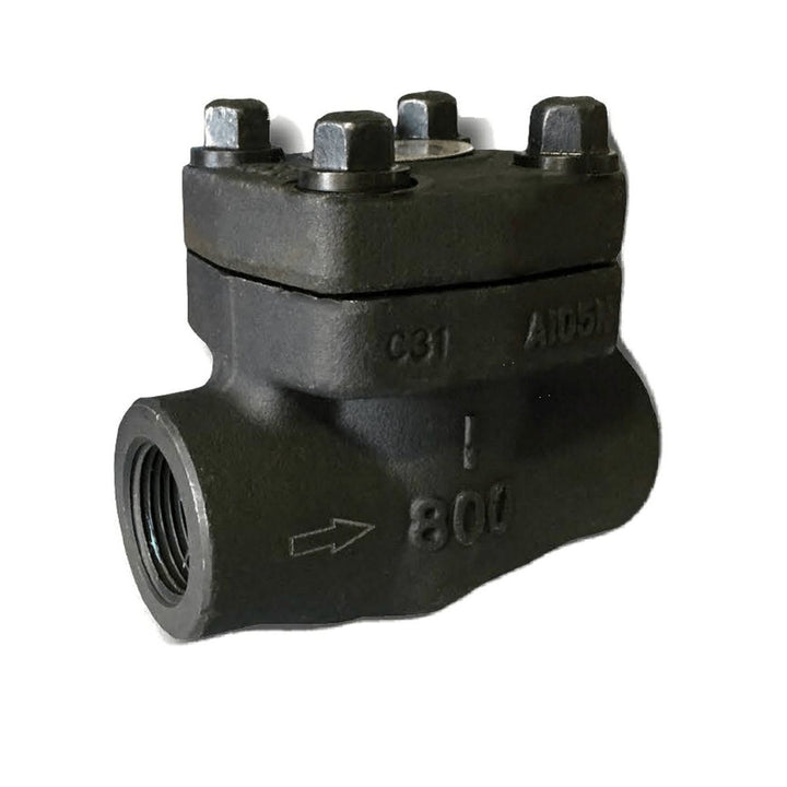 Swing Check Valves in Cast, Forged & Ductile Iron Materials – Trupply